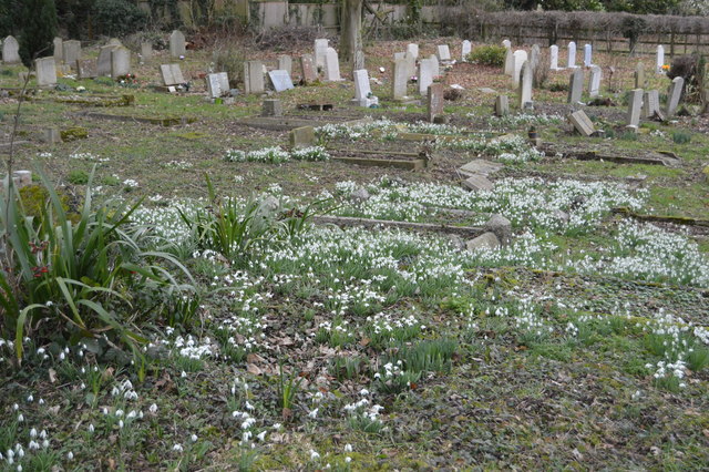 Littlebourne St Vincent of Sargossa | National Churches Trust