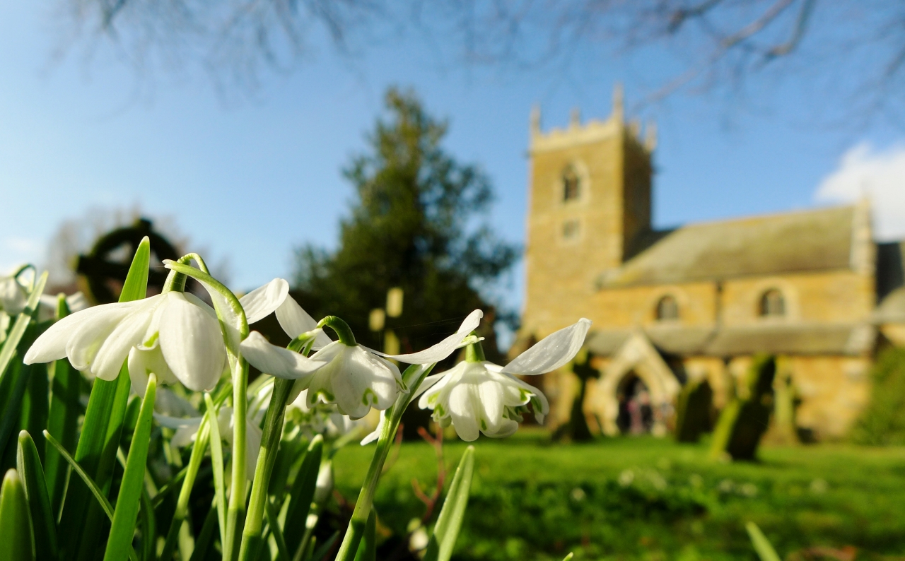 Spring flowers | National Churches Trust