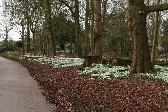 Edlington St Helen | National Churches Trust