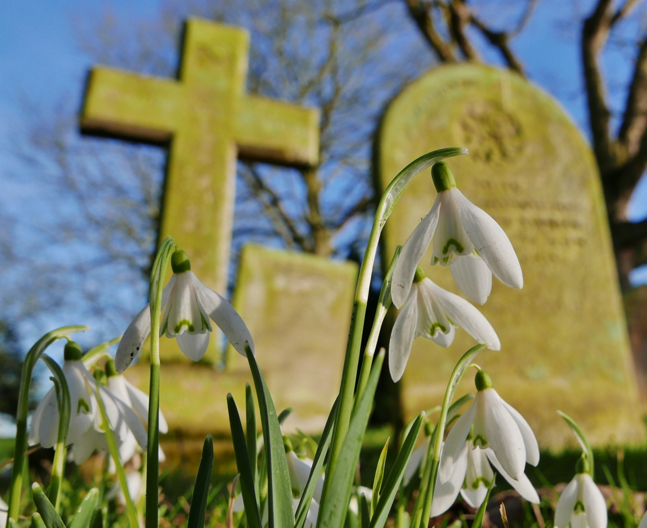 Spring flowers | National Churches Trust