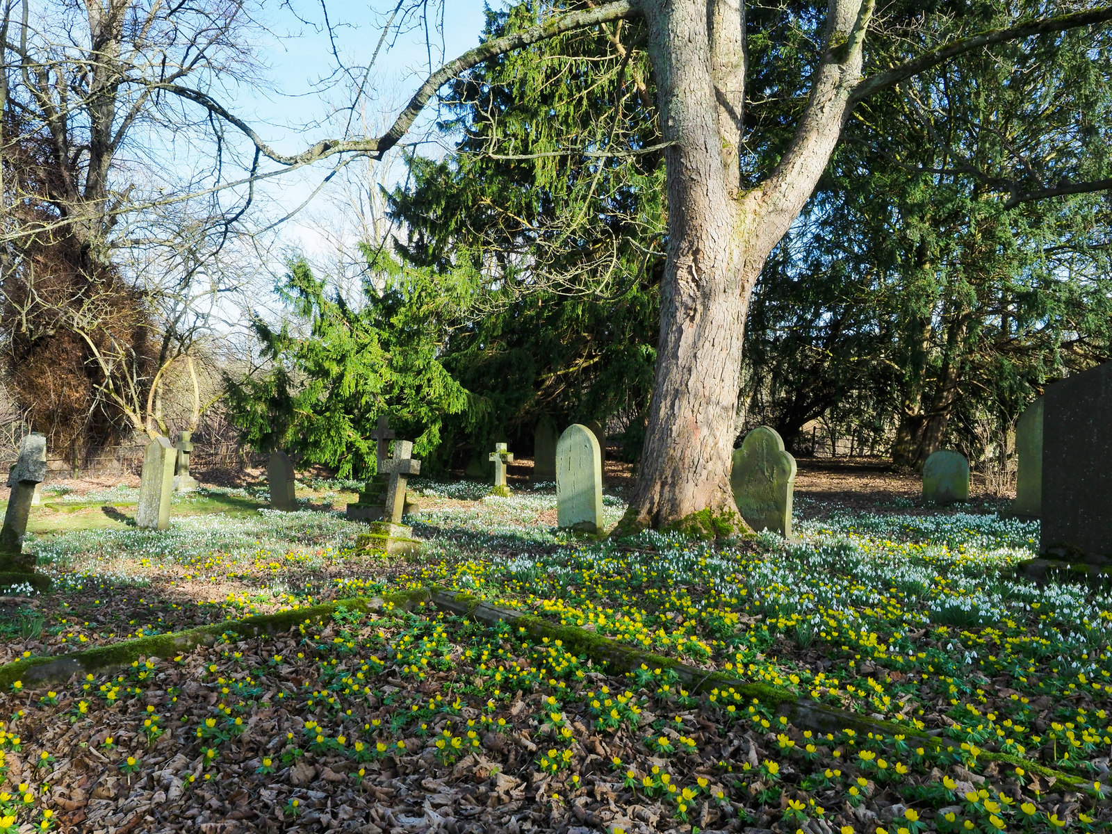 Bywell St Peter | National Churches Trust