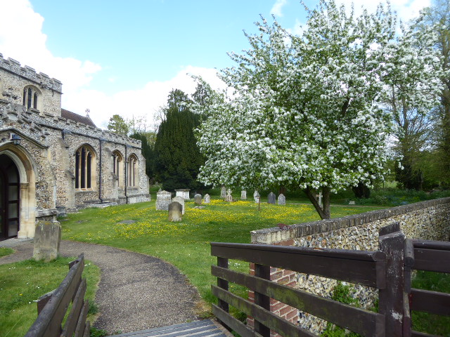 St Mary the Virgin | National Churches Trust