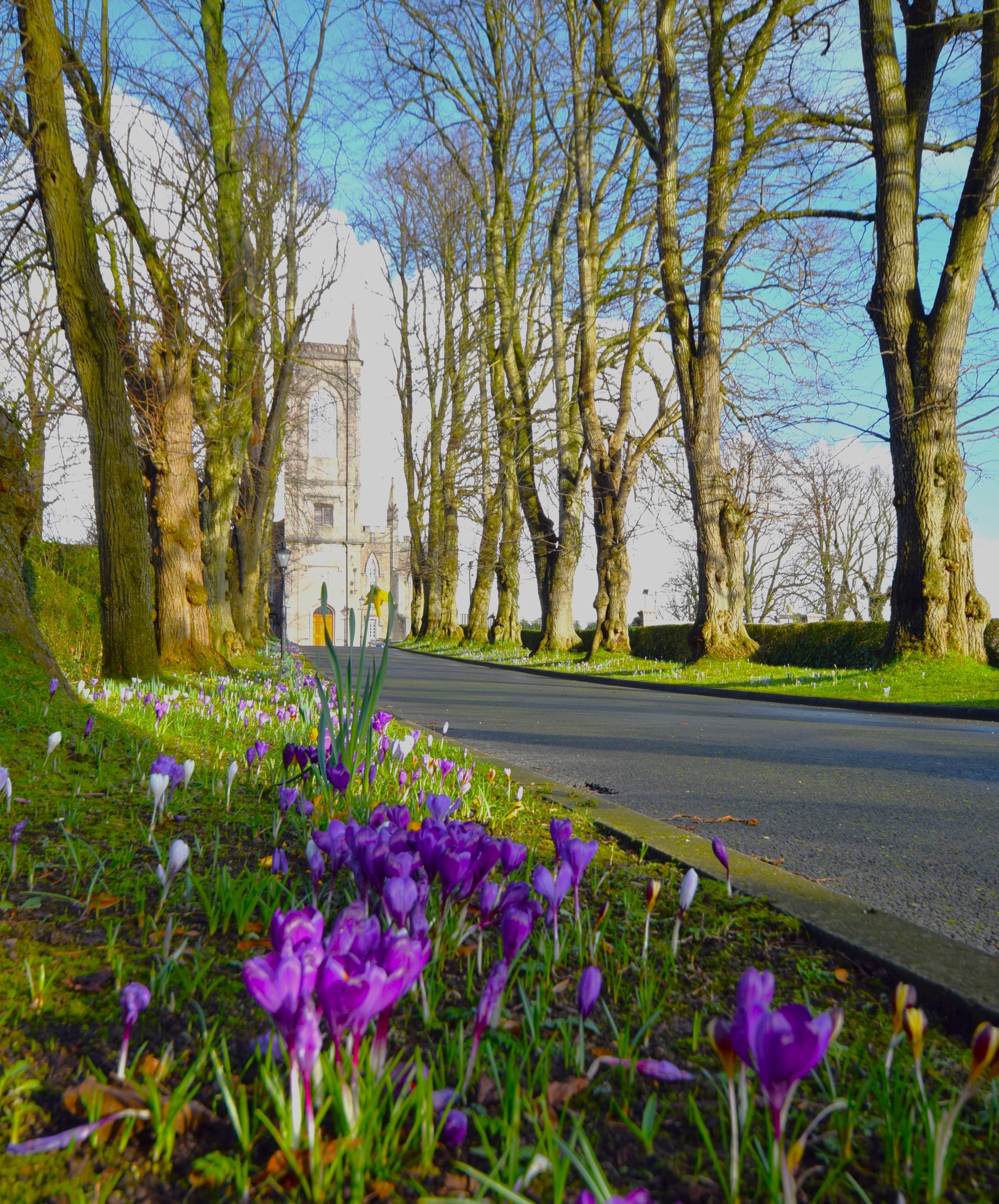 Spring flowers | National Churches Trust