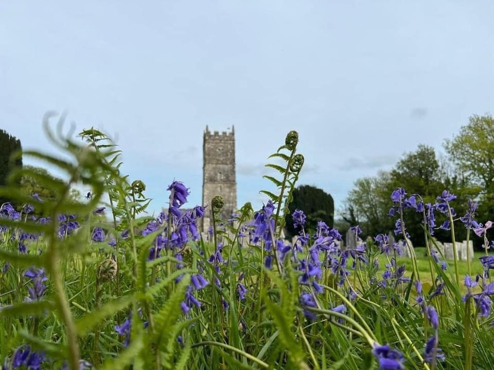 Spring flowers | National Churches Trust