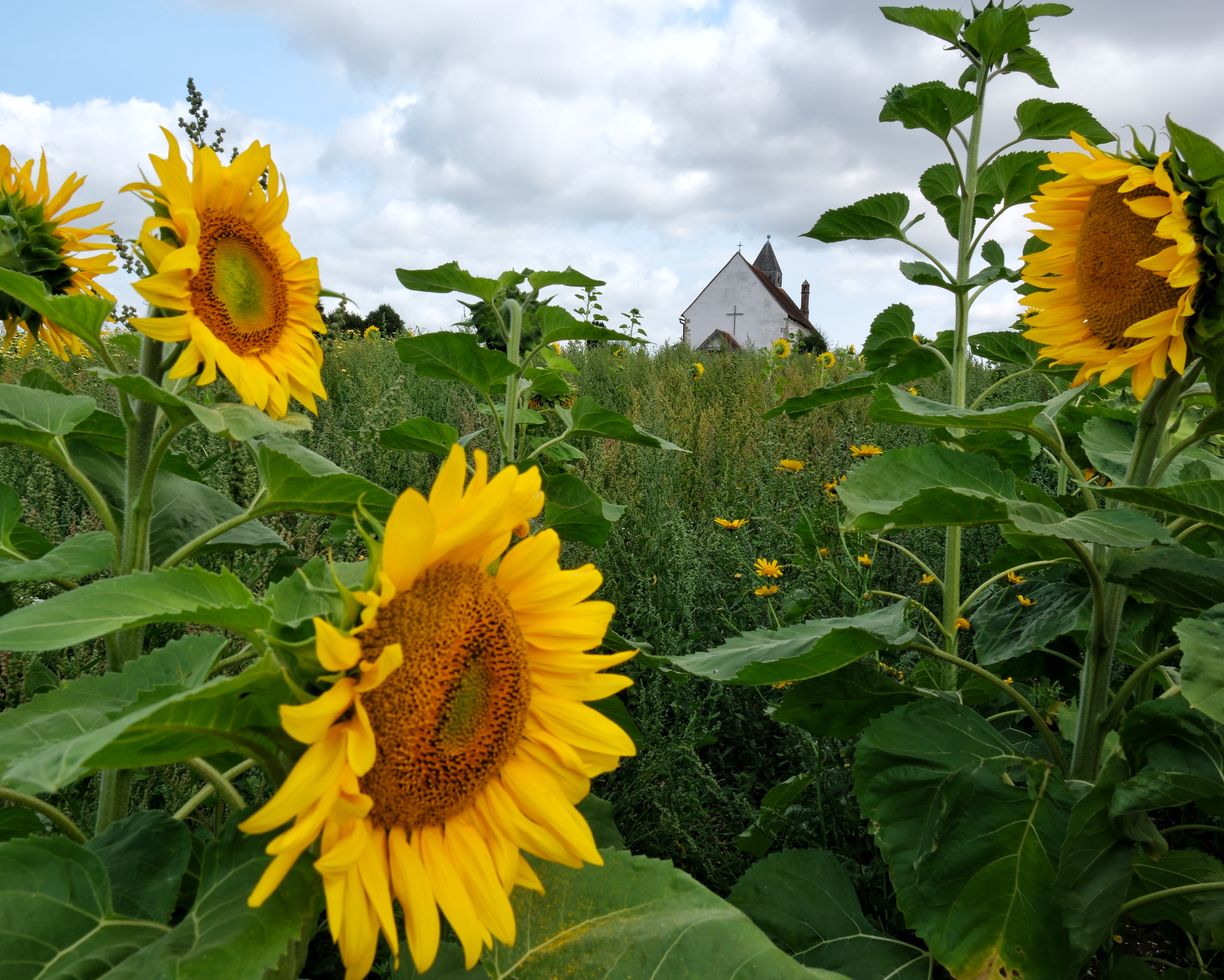 Idsworth St Hubert | National Churches Trust