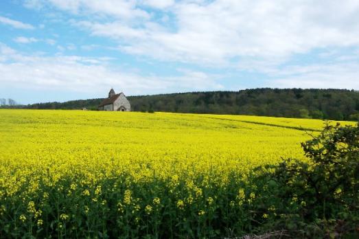 Idsworth St Hubert | National Churches Trust
