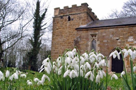Spring flowers | National Churches Trust