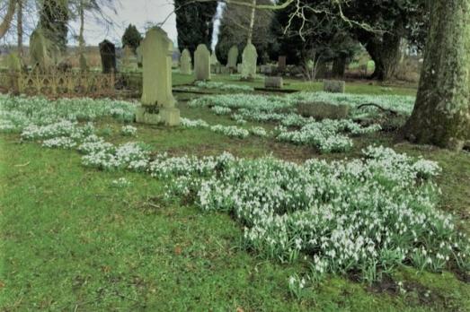 Bothal St Andrew | National Churches Trust