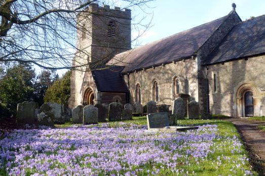 Bishops Frome St Mary the Virgin | National Churches Trust
