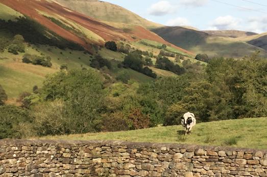 Sedbergh Cautley Chapel | National Churches Trust