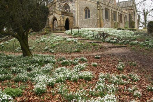 Roos All Saints | National Churches Trust