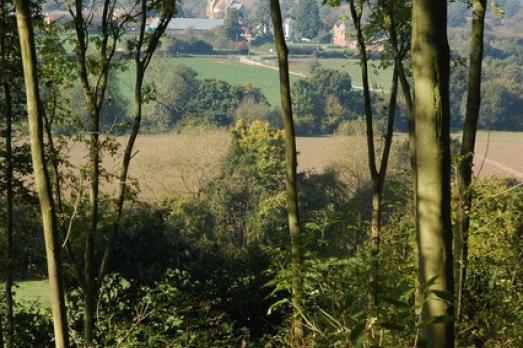 Suckley St John the Baptist | National Churches Trust