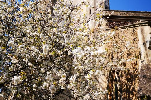Wokingham All Saints | National Churches Trust