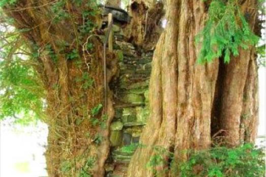 Nantglyn St James | National Churches Trust