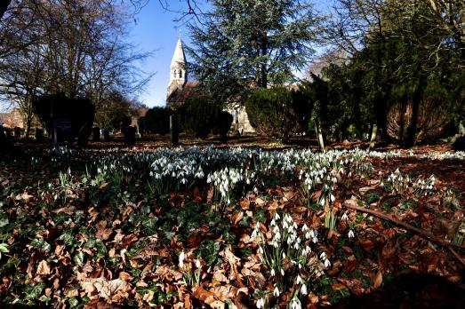 Thimbleby St Margaret | National Churches Trust