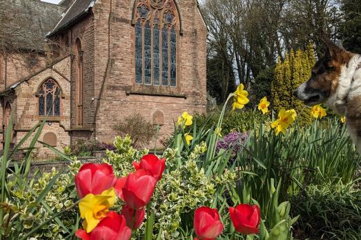 Workington Our Lady Star of the Sea & St Michael | National Churches Trust