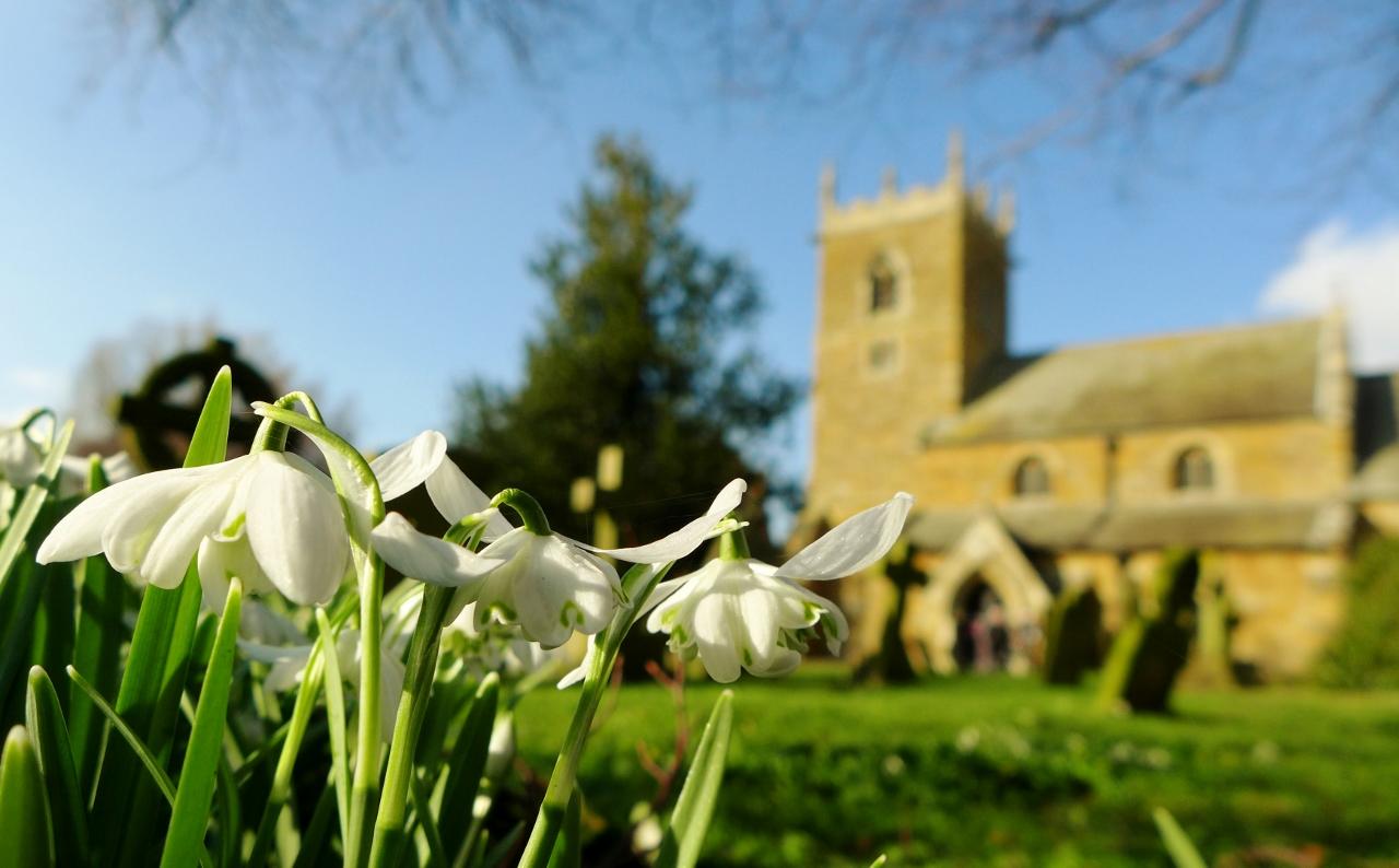 Spring flowers | National Churches Trust