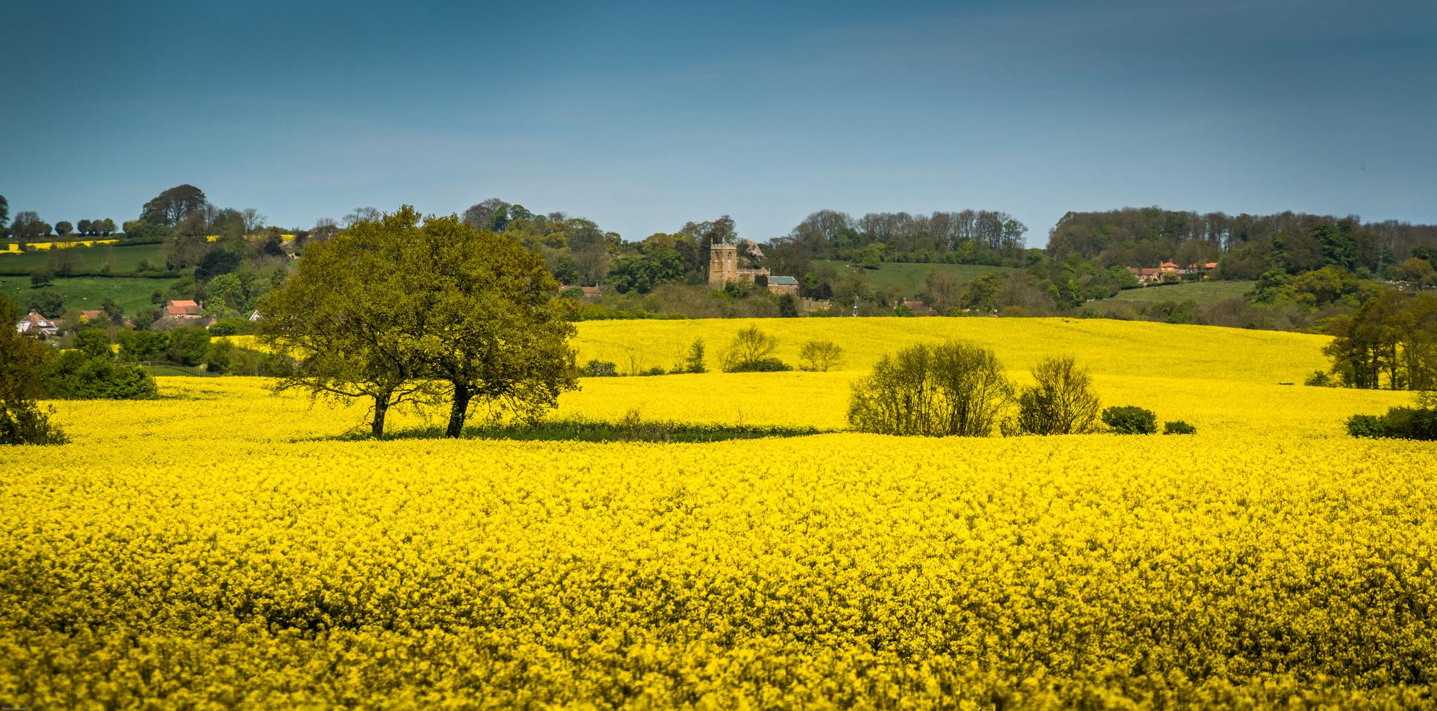 Tealby All Saints | National Churches Trust
