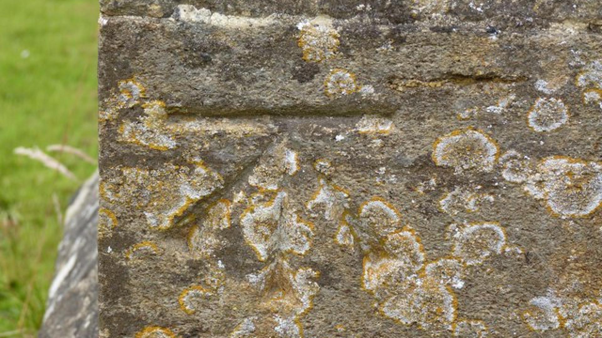 Lufton St Peter & St Paul | National Churches Trust