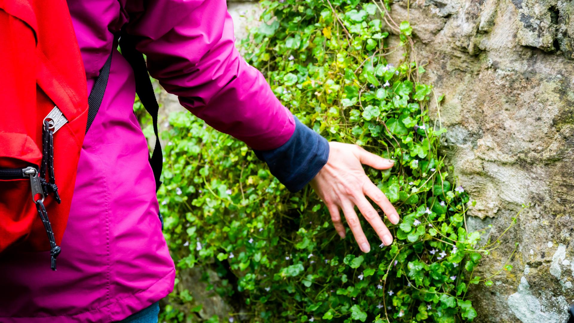 The Cistercian Way | National Churches Trust