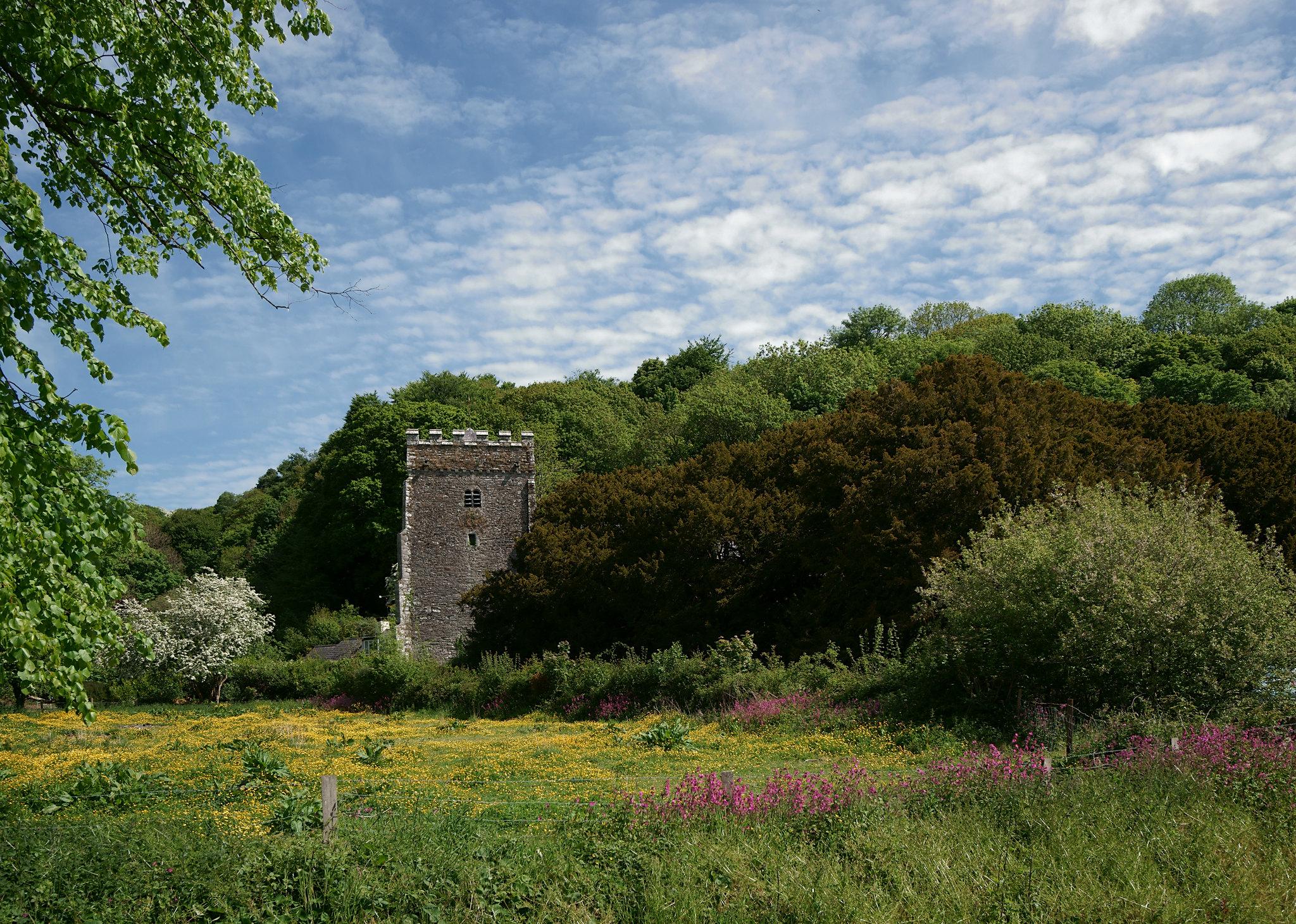 Nevern St Brynach | National Churches Trust