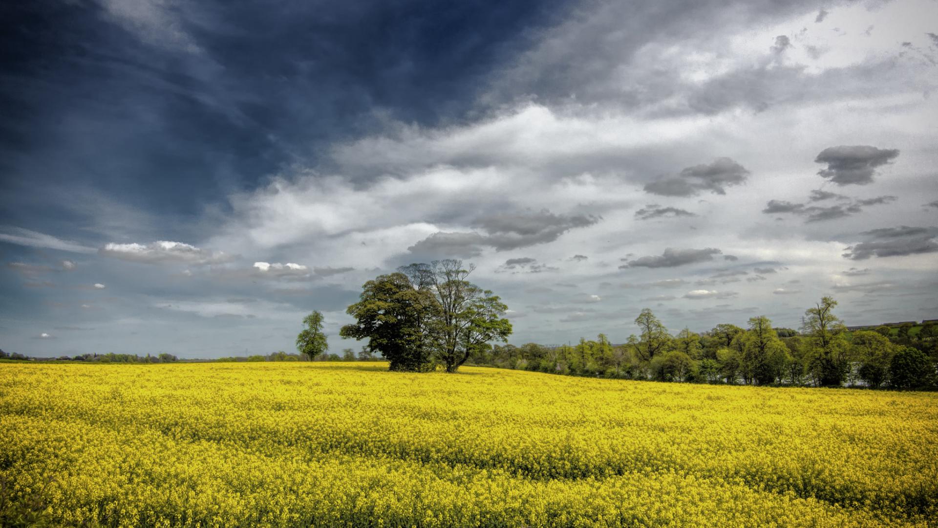 Five churches walk | National Churches Trust