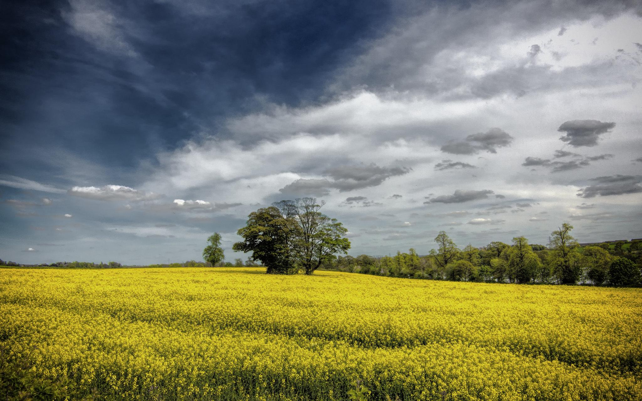 Blyth circular walk | National Churches Trust