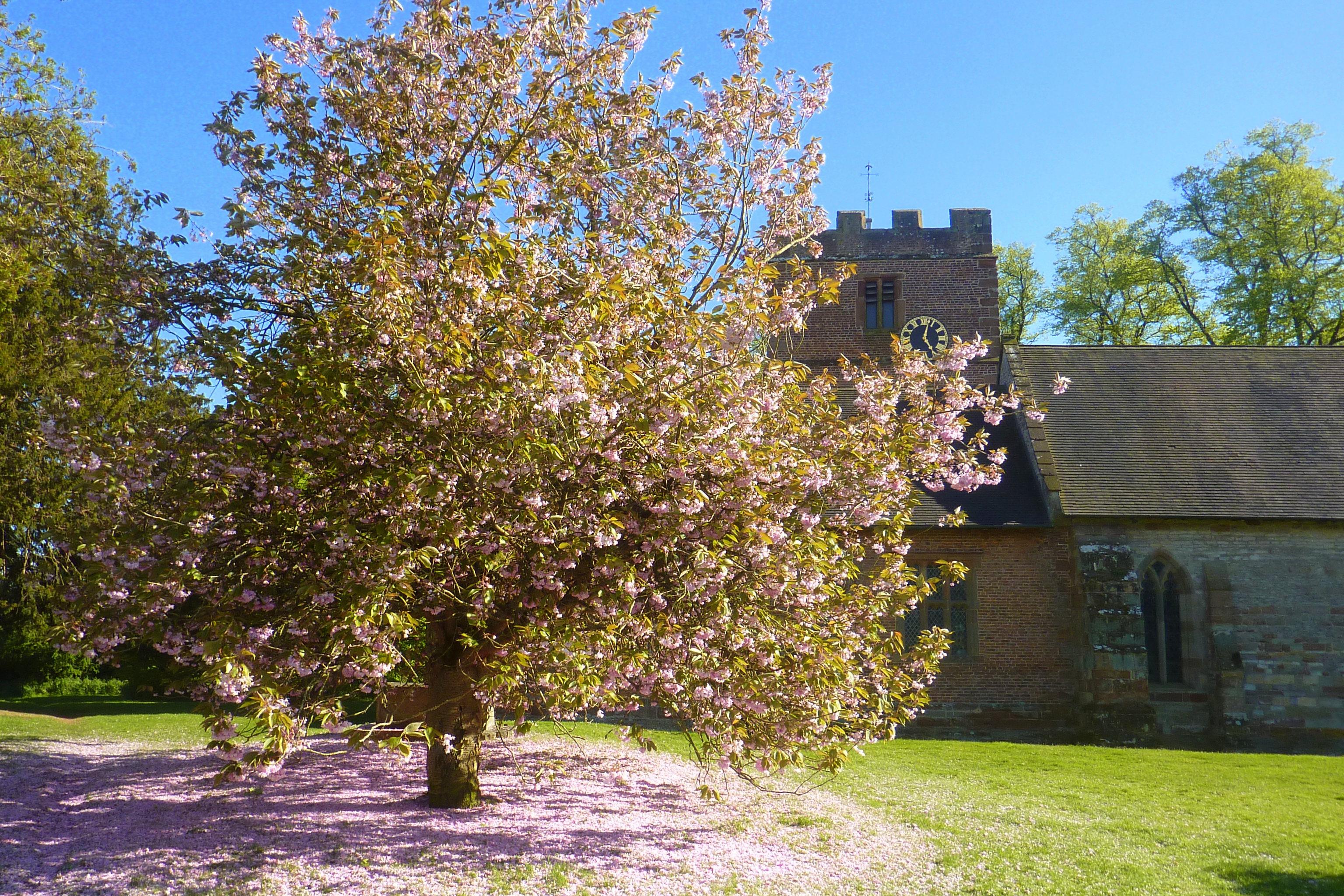 Hanley Castle St Mary | National Churches Trust