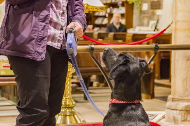 Dog's Welcome in Churches - Dogs Day Out - Explore Churches