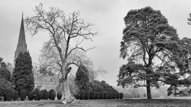 Highnam Holy Innocents | National Churches Trust