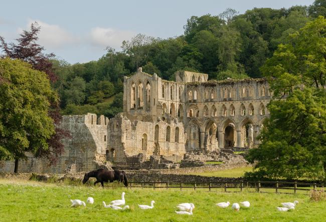 Helmsley Rievaulx Abbey | National Churches Trust