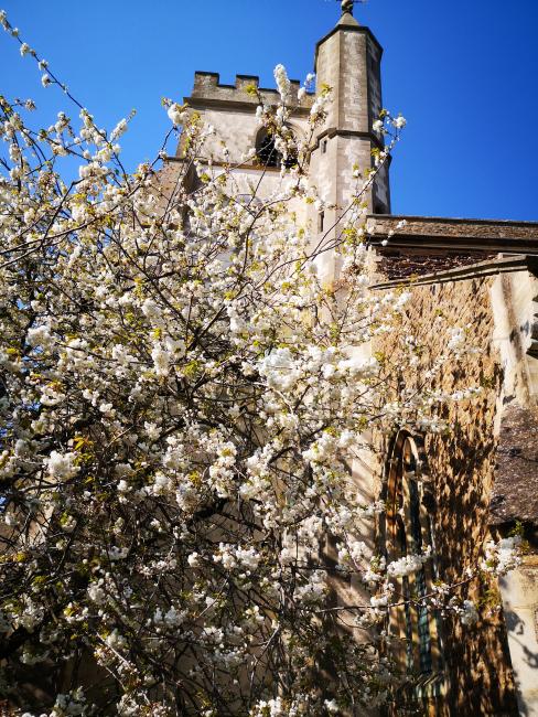 Wokingham All Saints | National Churches Trust