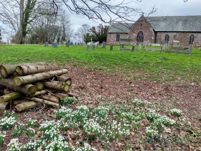 Kings Caple St John the Baptist | National Churches Trust